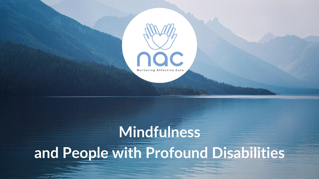 Mindfulness for Supporting People with Profound Disabilities ...